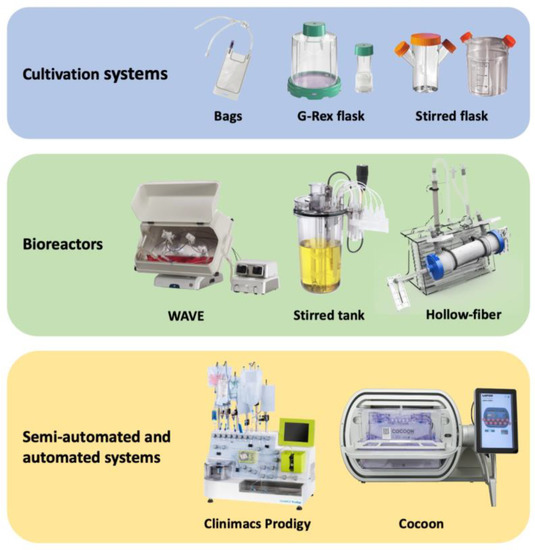 Recent Advances in the Development of Bioreactors for Manufacturing of ...