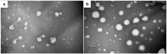 Physicochemical and Antioxidant Properties of Nanoliposomes Loaded with ...