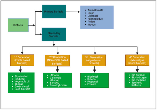 Biofuels from Renewable Sources, a Potential Option for Biodiesel ...