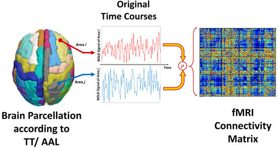 Understanding the Role of Connectivity Dynamics of Resting-State ...