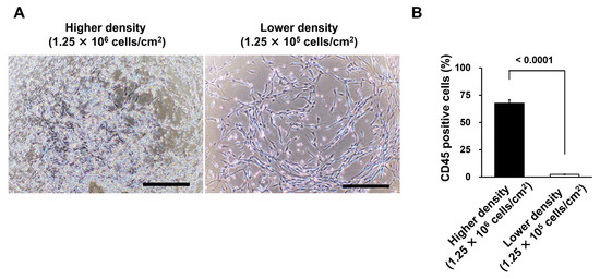 Optimizing the Seeding Density of Human Mononuclear Cells to Improve ...