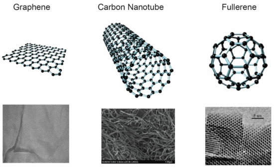 Bioengineering | Free Full-Text | Functionalized Carbon Nanoparticles ...