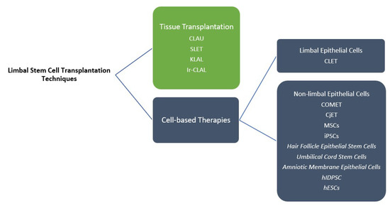 Concise Review: Bioengineering of Limbal Stem Cell Niche