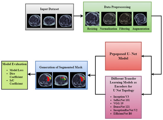 Bioengineering | Free Full-Text | U-Net Model with Transfer Learning Model as a Backbone for ...