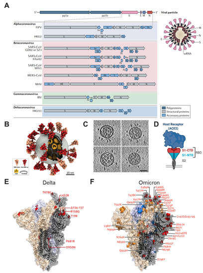 Advanced Vaccine Design Strategies against SARS-CoV-2 and Emerging Variants