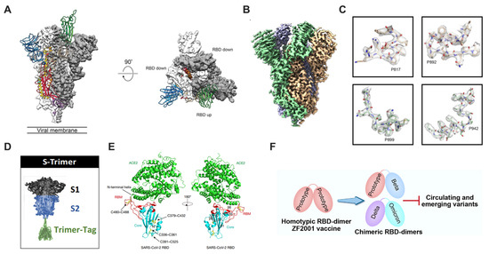 Advanced Vaccine Design Strategies against SARS-CoV-2 and Emerging Variants