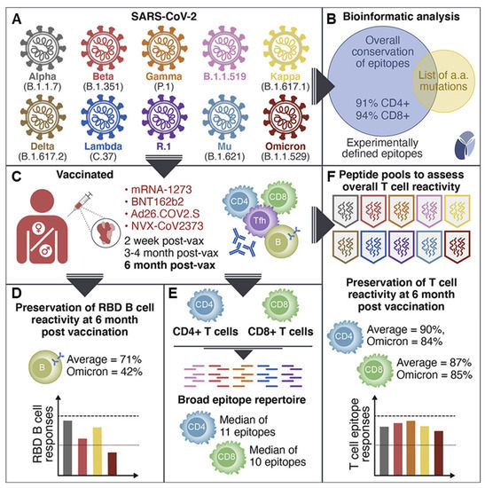 Advanced Vaccine Design Strategies against SARS-CoV-2 and Emerging Variants