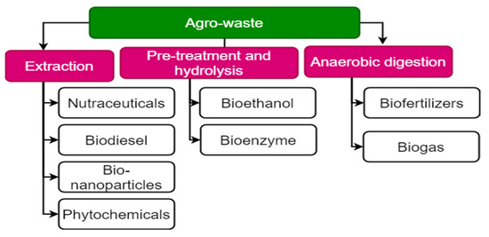 Transformation of Agro-Waste into Value-Added Bioproducts and Bioactive Compounds: Micro/Nano ...