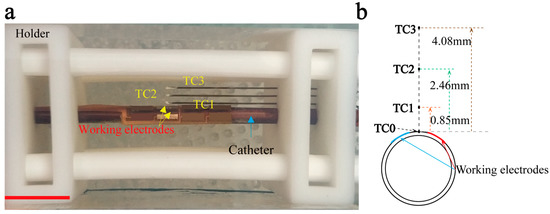 A New Conformal Penetrating Heating Strategy for Atherosclerotic Plaque