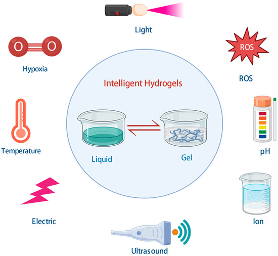 The Role of Hydrogel in Cardiac Repair and Regeneration for Myocardial ...