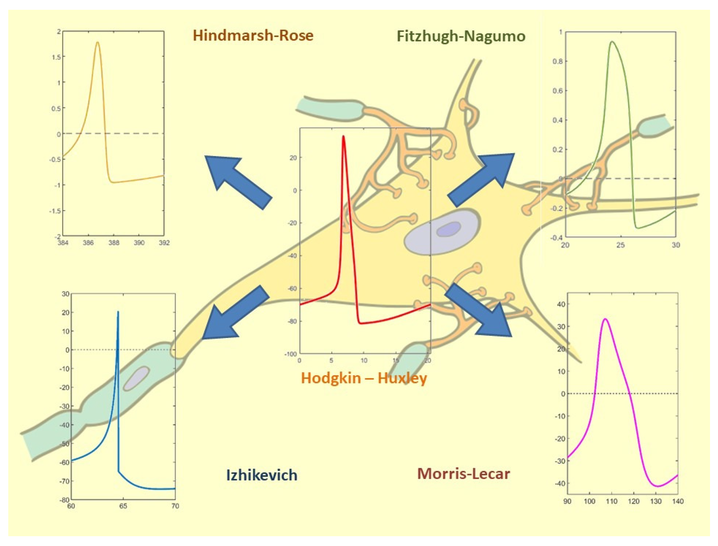 Bioengineering | Free Full-Text | Spiking Neuron Mathematical Models: A ... Bioengineering | Free Full-Text | Spiking Neuron Mathematical Models: A ...
