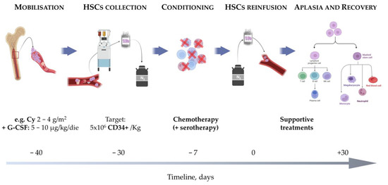 Hematopoietic Stem Cell Transplantation for the Treatment of Autoimmune Neurological Diseases ...