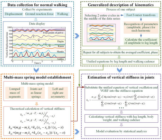 Simultaneous Estimation of the Vertical Stiffness in the Knee and Hip ...