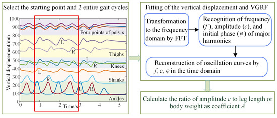 Simultaneous Estimation of the Vertical Stiffness in the Knee and Hip ...
