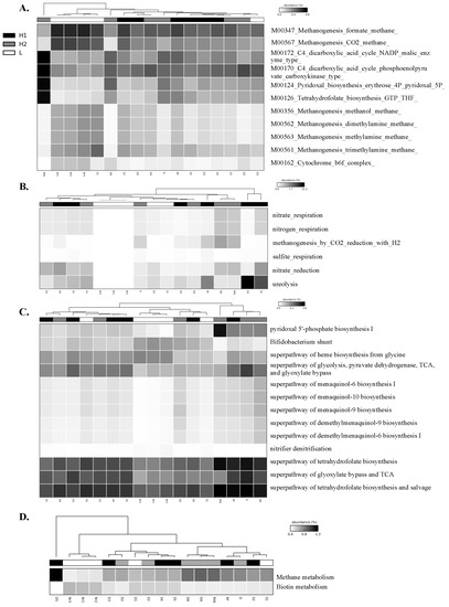 Functional Prediction of Microbial Communities in Sediment Microbial ...