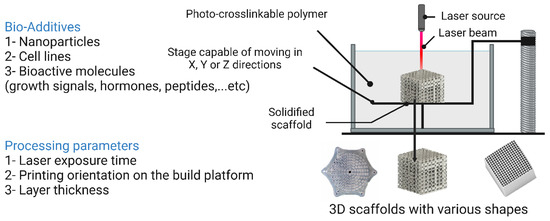 A Review of 3D Polymeric Scaffolds for Bone Tissue Engineering ...