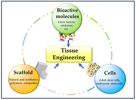 Bioengineering Free Full Text Polymeric Materials Advances And