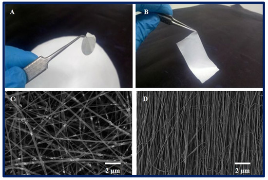 Polymeric Materials, Advances and Applications in Tissue Engineering: A ...