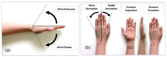 A New Wrist–Forearm Rehabilitation Protocol Integrating Human Biomechanics and SVM-Based Machine ...