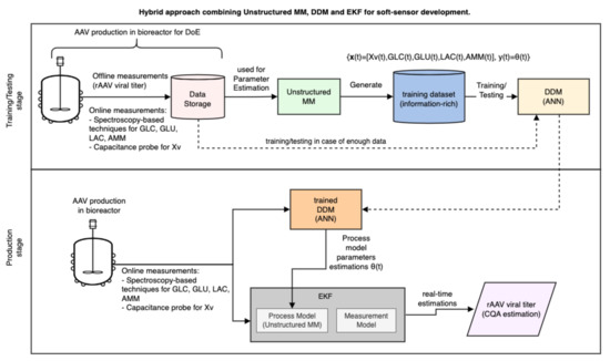 rAAV Manufacturing: The Challenges of Soft Sensing during Upstream ...