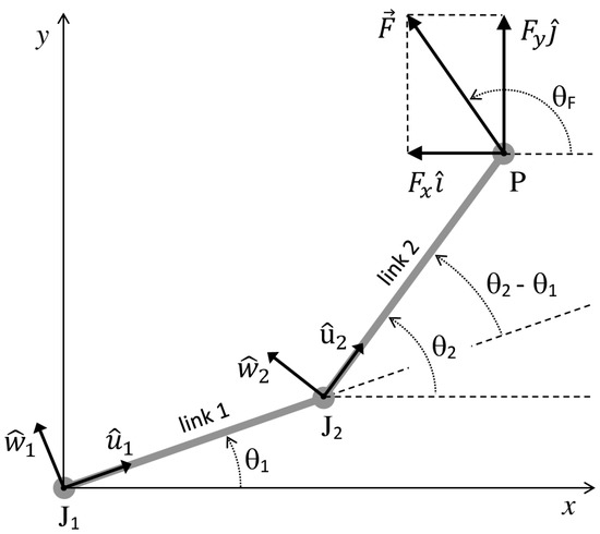 Dynamics of Two-Link Musculoskeletal Chains during Fast Movements ...