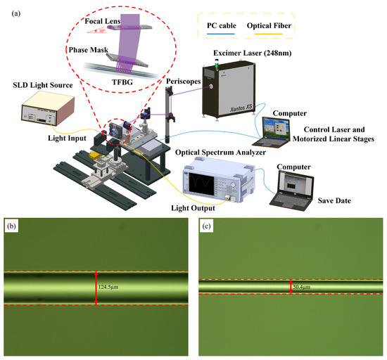Immunosensing for Early Detection of Rheumatoid Arthritis Biomarkers ...