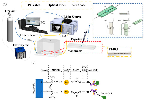 Immunosensing for Early Detection of Rheumatoid Arthritis Biomarkers ...