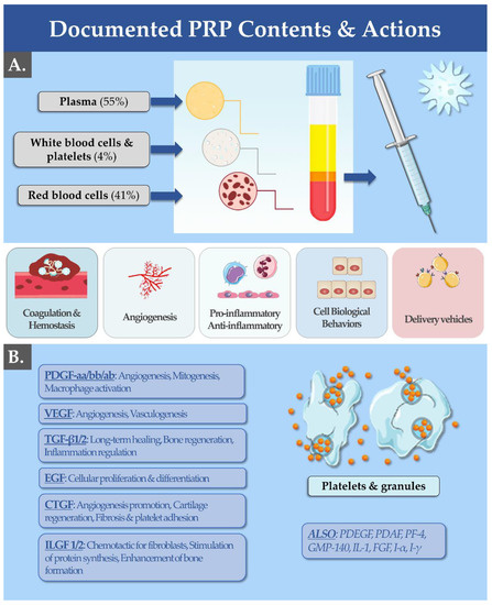 Current Status of PRP Manufacturing Requirements & European Regulatory ...