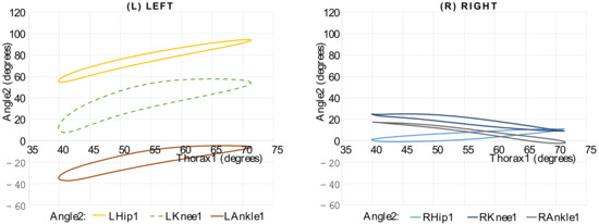 On the Kinematics of the Forward-Facing Venetian-Style Rowing Technique