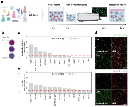 Modeling Gas Plasma-Tissue Interactions in 3D Collagen-Based Hydrogel ...
