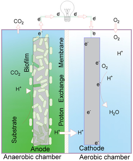 Assessment of Graphite, Graphene, and Hydrophilic-Treated Graphene ...