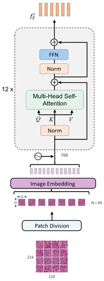 Bioengineering | Free Full-Text | Vision–Language Model for Visual ...