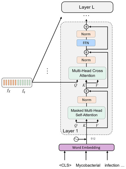 Bioengineering | Free Full-Text | Vision–Language Model for Visual ...