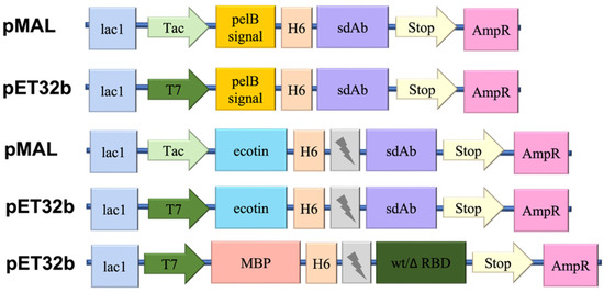A Novel Fusion Protein System for the Production of Nanobodies and the ...