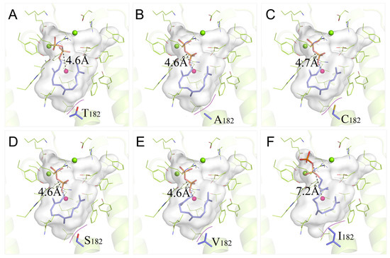 A Single Active-Site Mutagenesis Confers Enhanced Activity and/or ...