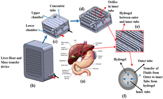 Experimental Demonstration of Compact Polymer Mass Transfer Device ...