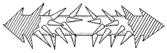 Bioengineering | Free Full-Text | A Review of Barbed Sutures—Evolution ...