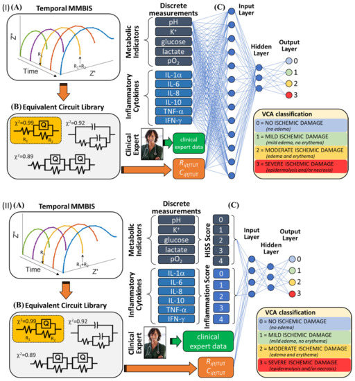 Real-Time Monitoring Using Multiplexed Multi-Electrode Bioelectrical Impedance Spectroscopy for ...