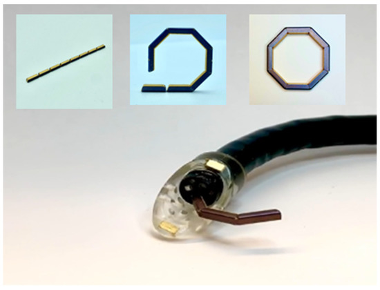 The Evolving Use of Magnets in Surgery: Biomedical Considerations and a ...