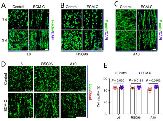 Engineering Cell–ECM–Material Interactions for Musculoskeletal Regeneration