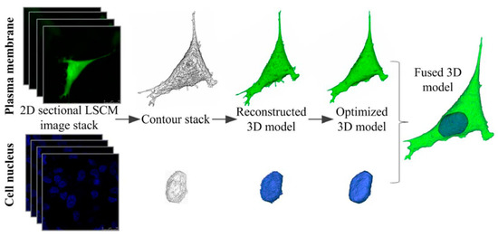 Characterization of Biocompatibility of Functional Bioinks for 3D ...