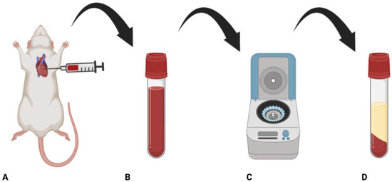 Standardization of Animal Models and Techniques for Platelet-Rich ...