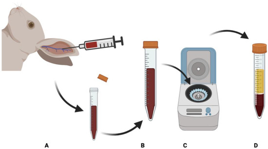 Standardization of Animal Models and Techniques for Platelet-Rich ...