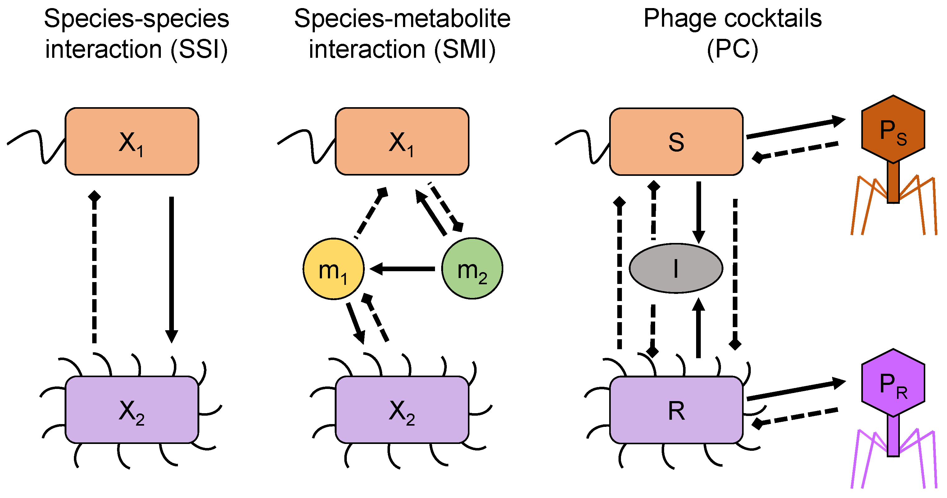 Bioengineering | Free Full-Text | Structural Identifiability and ... Bioengineering | Free Full-Text | Structural Identifiability and ...