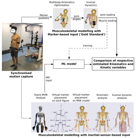 Machine Learning for Optical Motion Capture-Driven Musculoskeletal ...