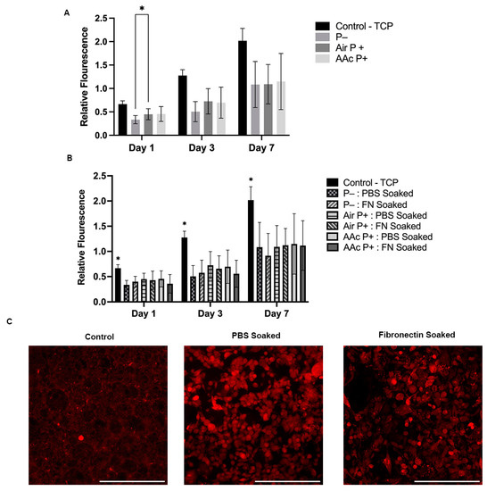 Bioengineering | Free Full-Text | Development of PCL PolyHIPE ...