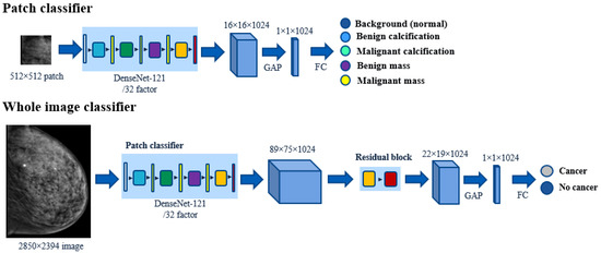 Bioengineering | Free Full-Text | Exploiting Patch Sizes and Resolutions for Multi-Scale Deep ...