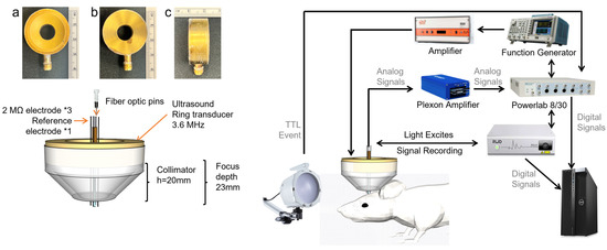 Non-Invasive Hybrid Ultrasound Stimulation of Visual Cortex In Vivo