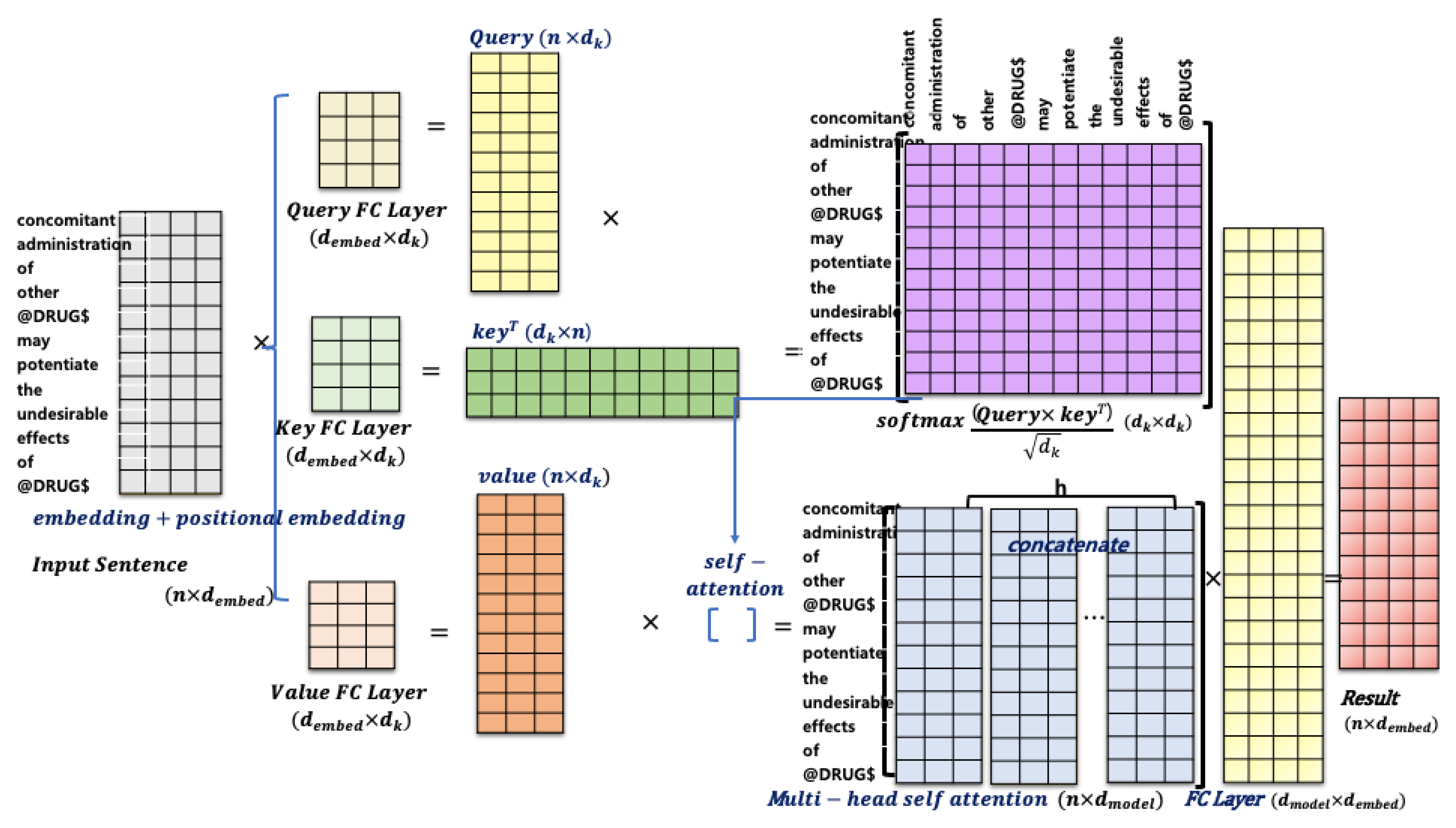 Bioengineering Free Full Text Biomedical Relation Extraction Using Dependency Graph And