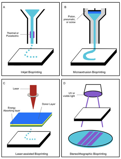 3D Bioprinting for Vascularization